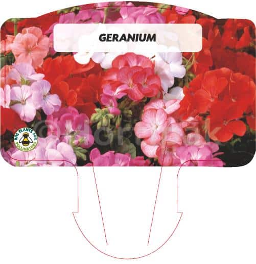 Geranium Mixed Plant Labels - Hortipak