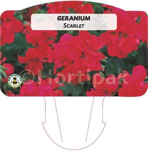 Geranium Scarlet Plant Labels - Hortipak