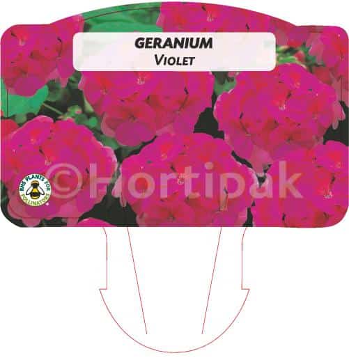 Geranium Violet Plant Labels - Hortipak