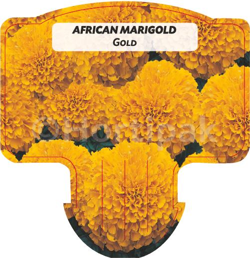 Marigold African Gold Plant Labels - Hortipak