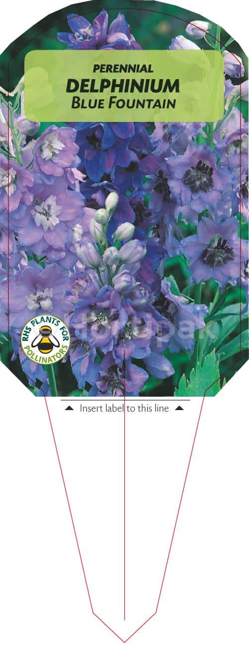Delphinium (Larkspur) Magic Fountains Blue Plant Labels - Hortipak