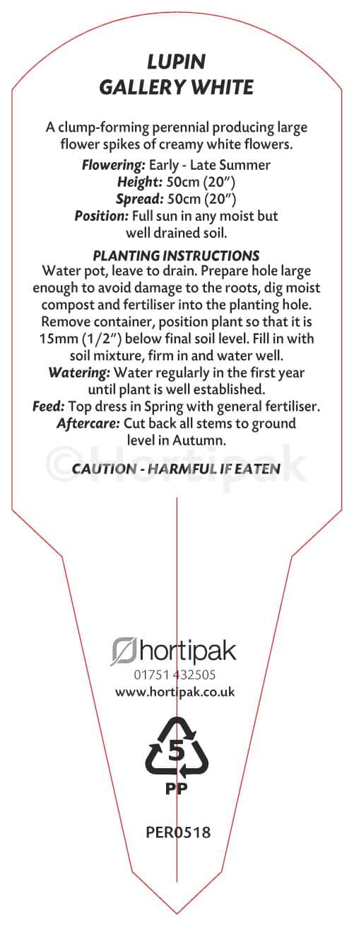 Lupin Gallery White Plant Labels - Hortipak