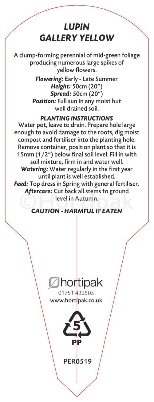 Lupin Gallery Yellow Plant Labels - Hortipak