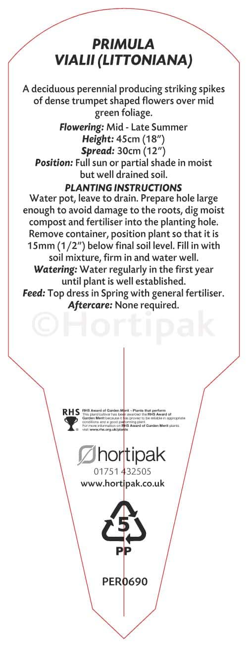 Primula Vialii (Vial'S Primrose) (Littoniana) Plant Labels - Hortipak