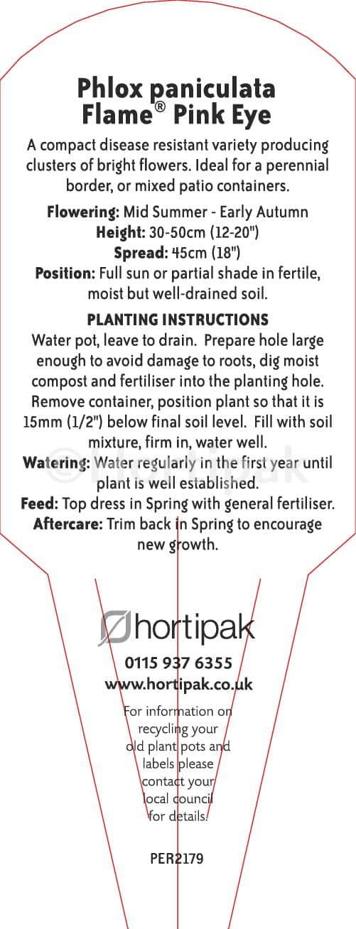 Phlox Paniculata (Garden Phlox) Flame® Pink Eye Plant Labels - Hortipak