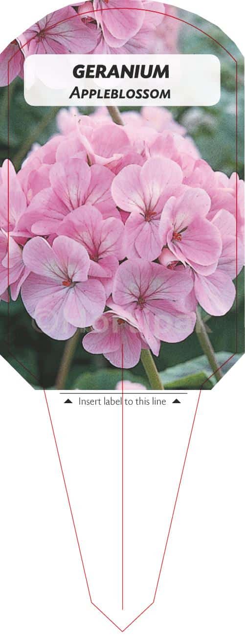Geranium Appleblossom Plant Labels - Hortipak