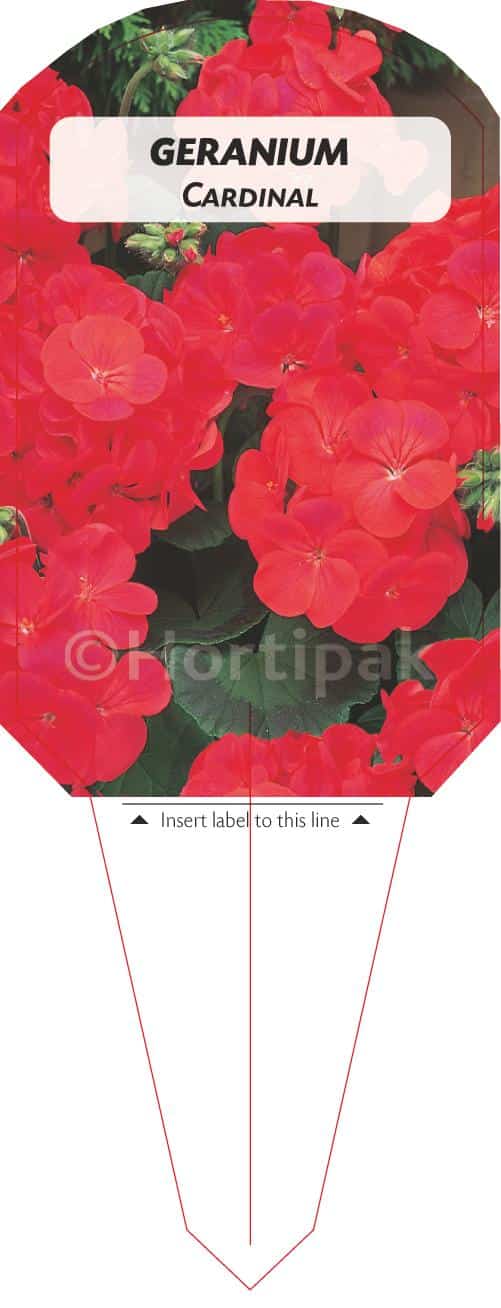 Geranium Cardinal Plant Labels - Hortipak