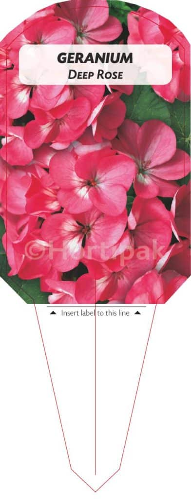 Geranium Deep Rose Plant Labels - Hortipak