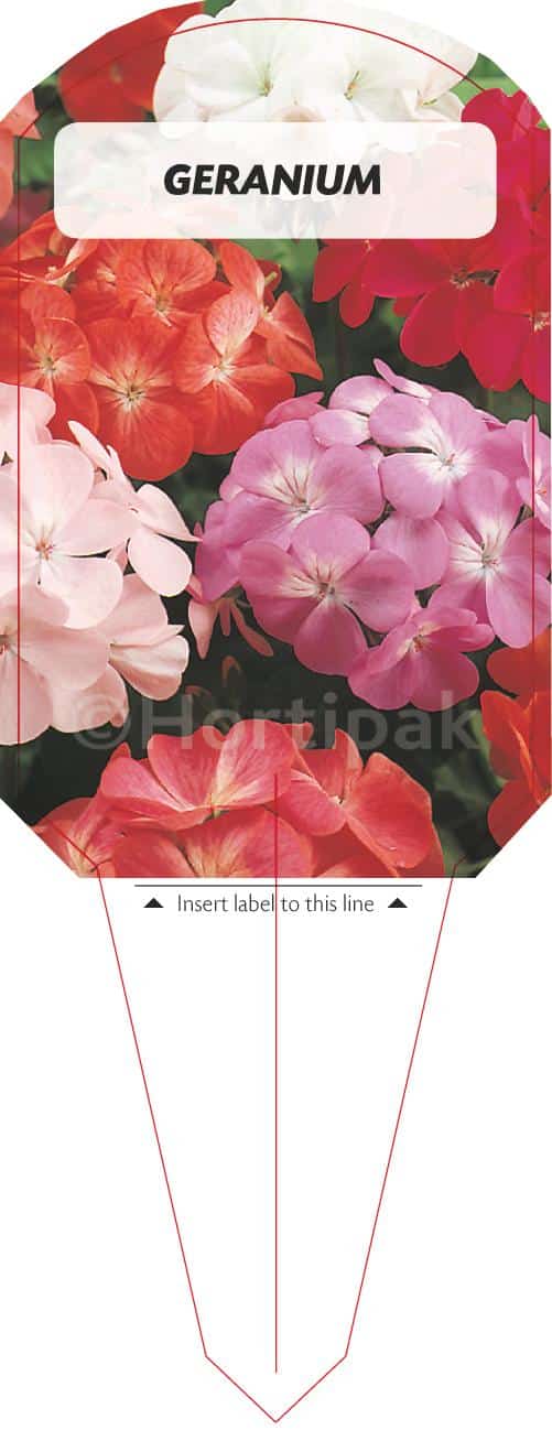 Geranium Mixed Plant Labels - Hortipak