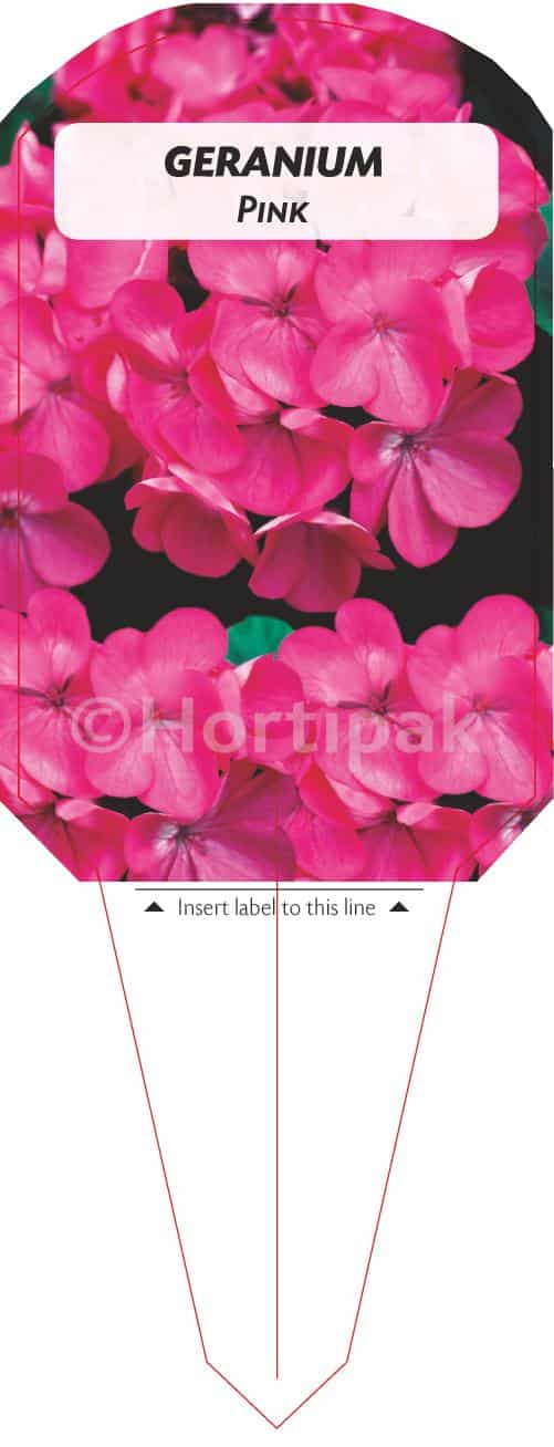 Geranium Pink Plant Labels - Hortipak