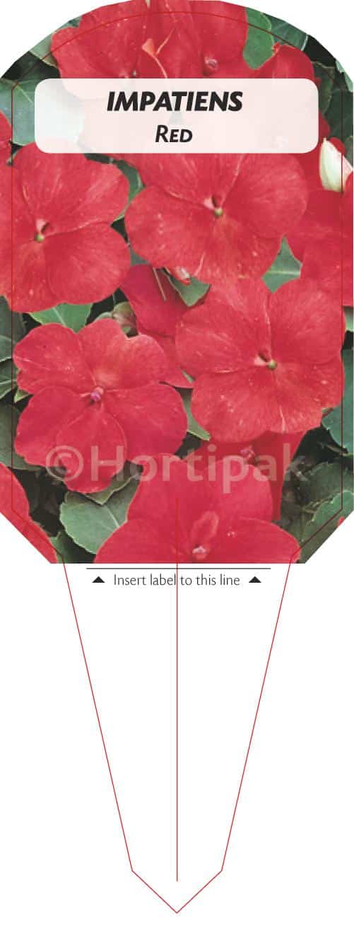 Impatiens Red Plant Labels - Hortipak