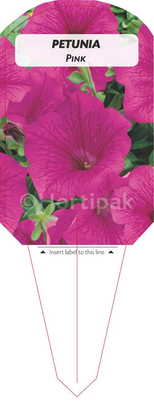 Petunia Pink Plant Labels - Hortipak