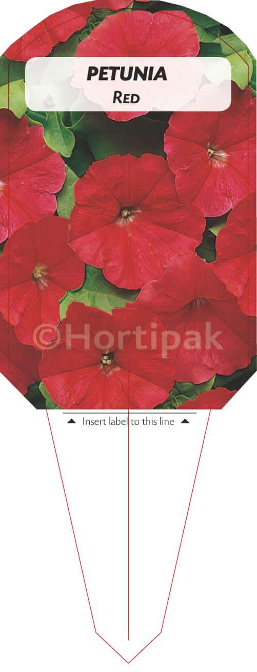 Petunia Red Plant Labels - Hortipak