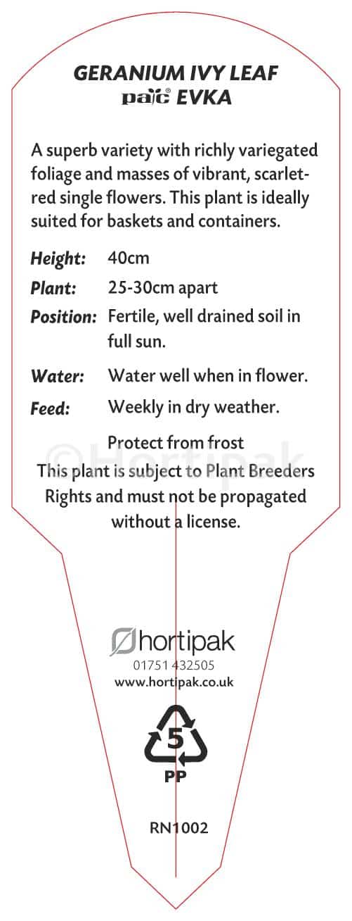 Geranium Ivy Leaf Evka Plant Labels - Hortipak