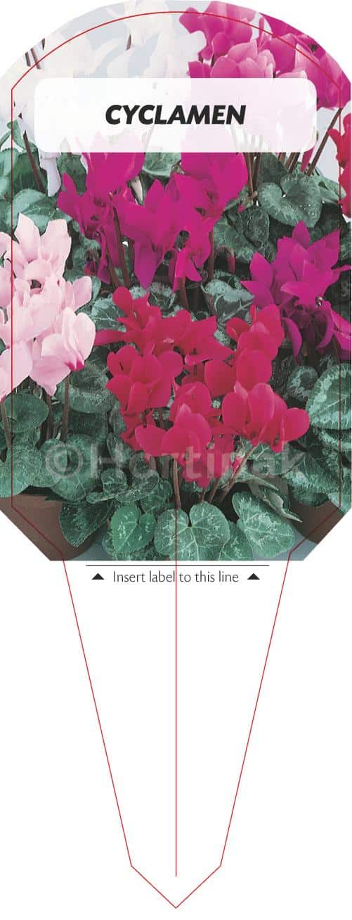 Cyclamen Plant Labels - Hortipak