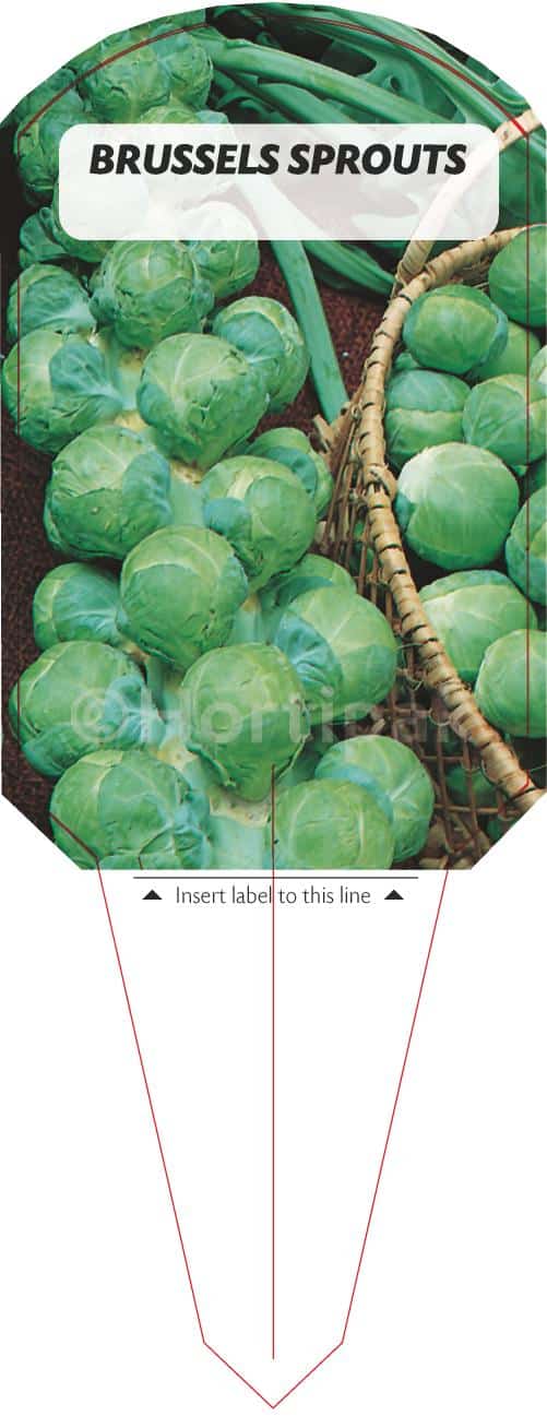 Brussel Sprouts General Plant Labels - Hortipak