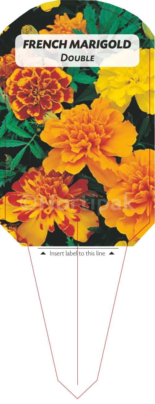 Marigold French Double Mixed Plant Labels - Hortipak