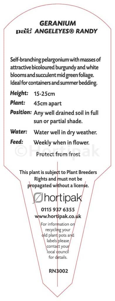 Geranium Angel Eyes Randy Plant Labels - Hortipak