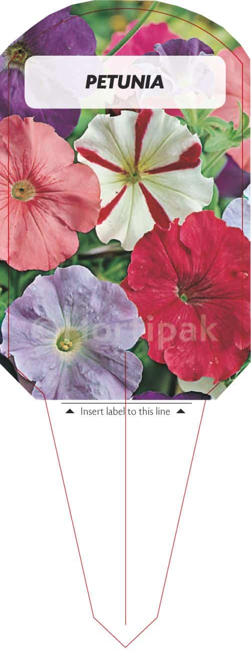 Petunia Mixed Plant Labels - Hortipak