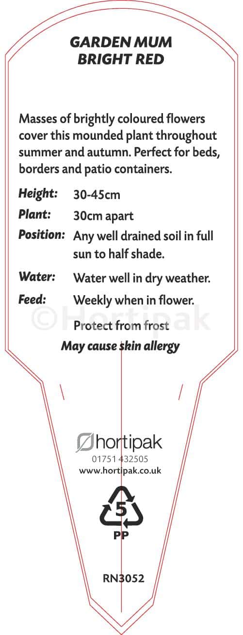Garden Mum Bright Red Plant Labels - Hortipak