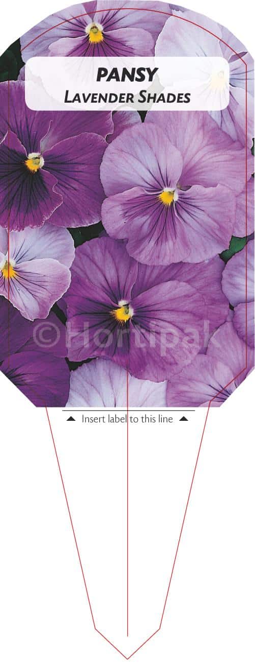 Pansy Lavender Shades Plant Labels - Hortipak