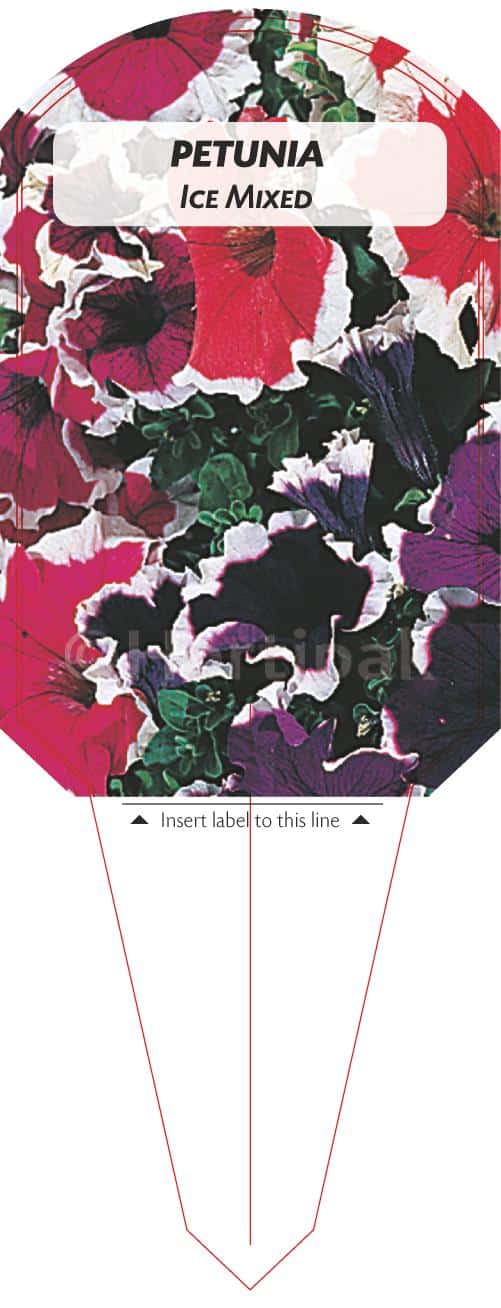 Petunia Ice Mixed Plant Labels - Hortipak