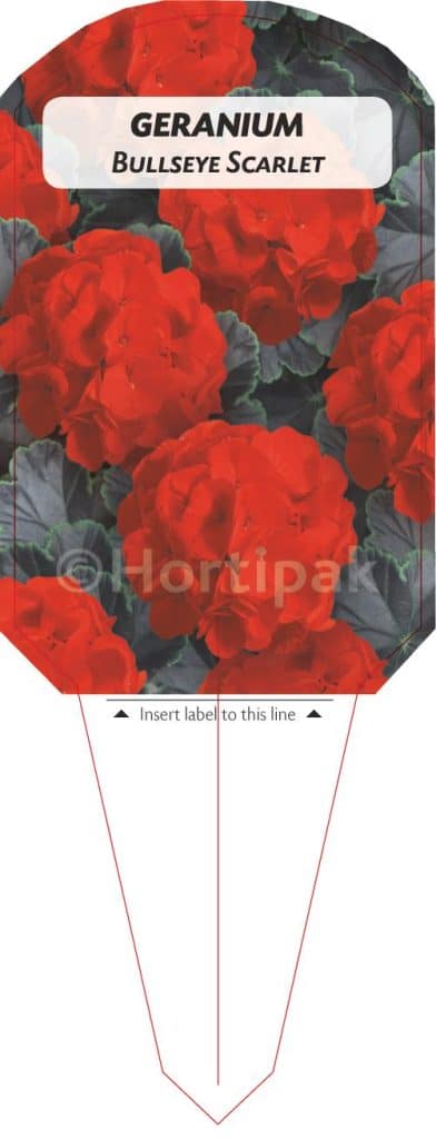Geranium Bullseye Scarlet Plant Labels - Hortipak