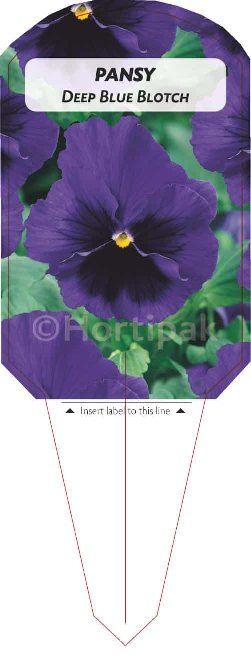 Pansy Deep Blue Blotch Plant Labels - Hortipak