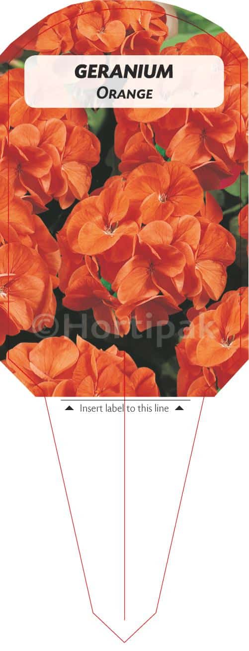 Geranium Orange Plant Labels - Hortipak