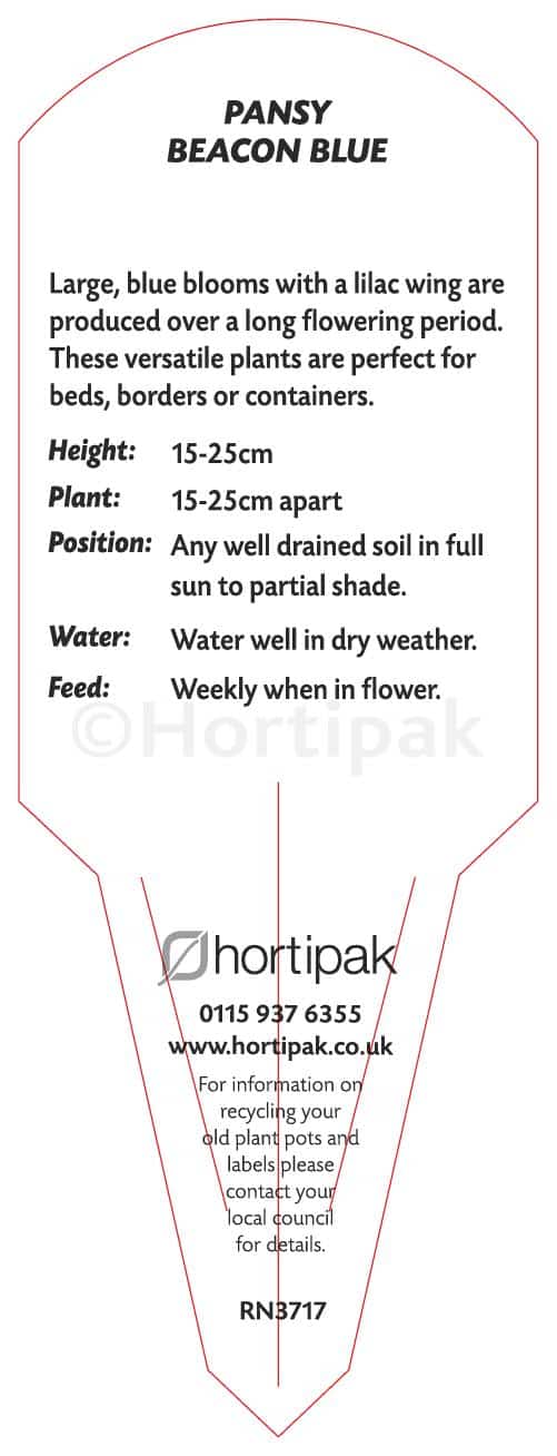 Pansy Beacon Blue Plant Labels - Hortipak