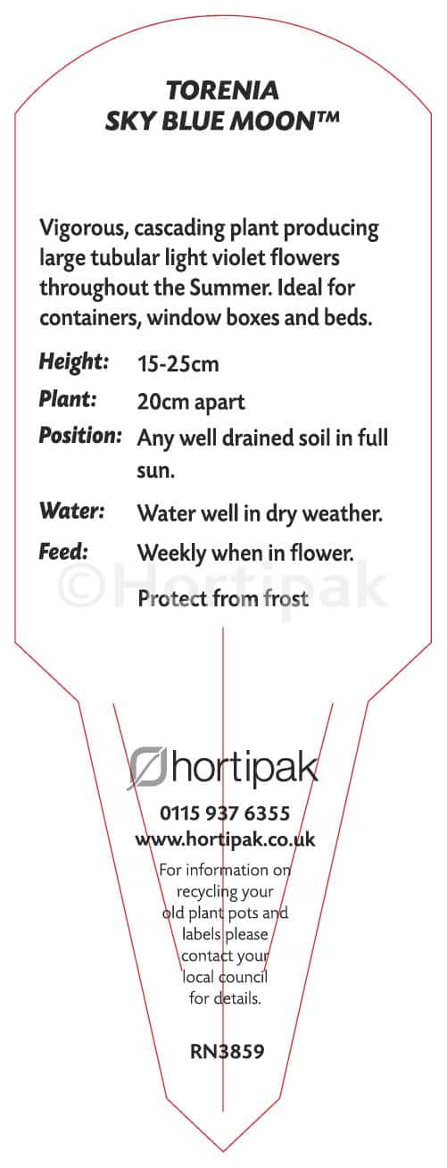 Torenia Sky Blue Moon Plant Labels - Hortipak