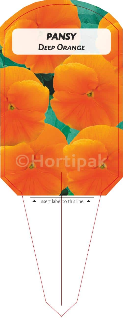 Pansy Deep Orange Plant Labels - Hortipak