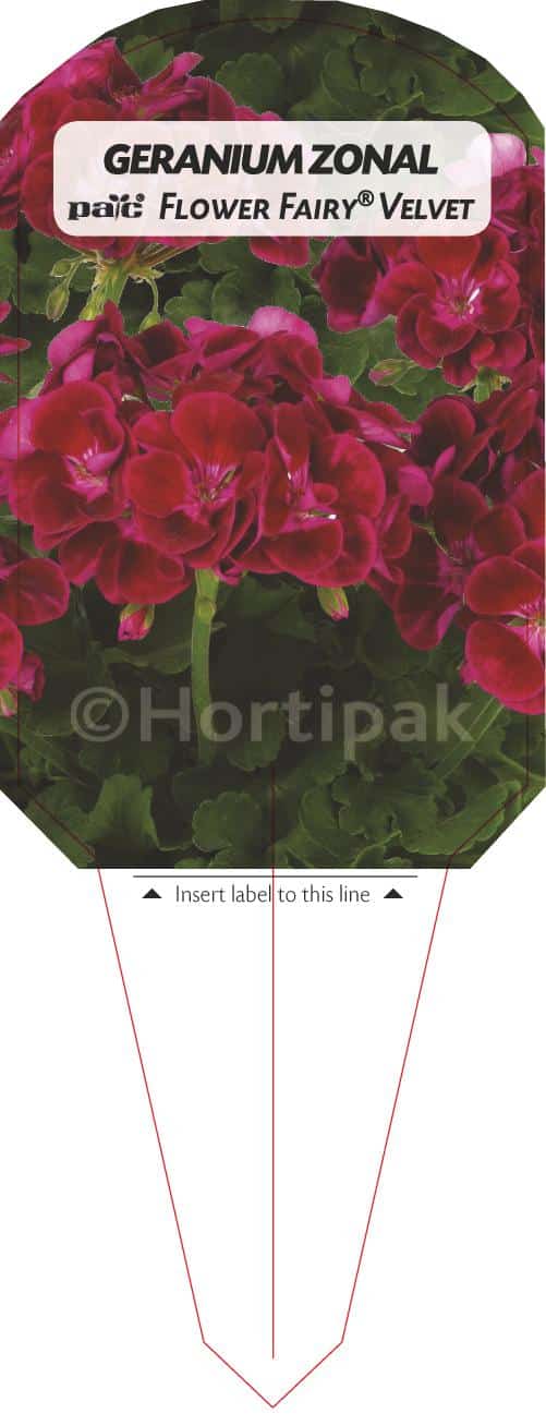 Geranium Zonal Ff Velvet Plant Labels - Hortipak