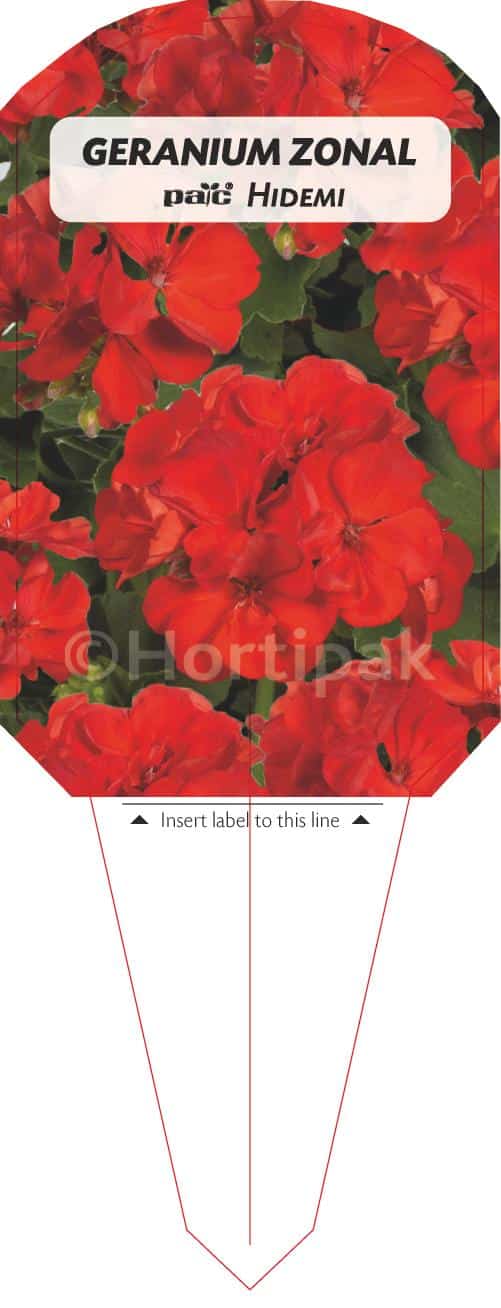 Geranium Zonal Hidemi (Pac) Plant Labels - Hortipak