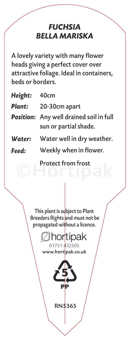 Fuchsia Bella Mariska Plant Labels - Hortipak