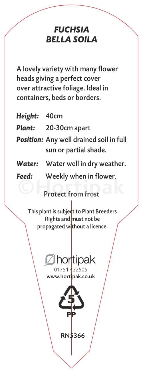 Fuchsia Bella Soila Plant Labels - Hortipak