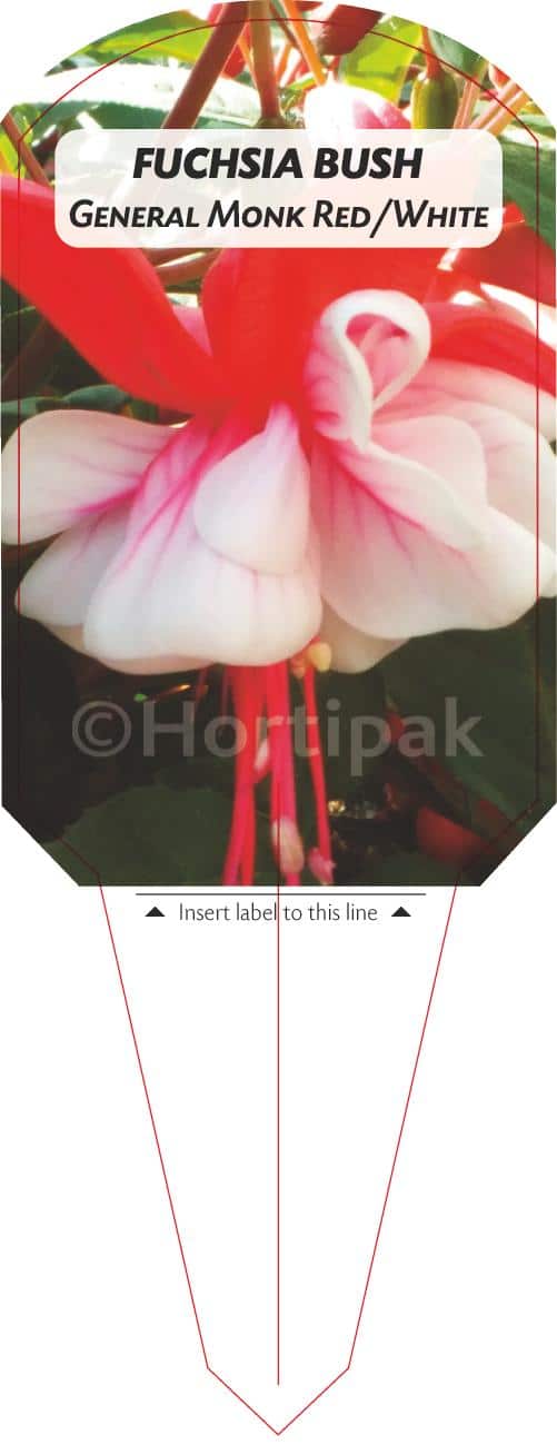 Fuchsia General Monk Red White Plant Labels - Hortipak