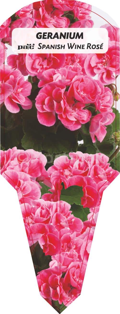 Geranium Spanish Wine RosÉ Plant Labels - Hortipak