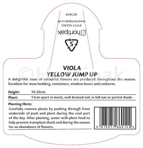 Viola Yellow Jump Up Plant Labels - Hortipak