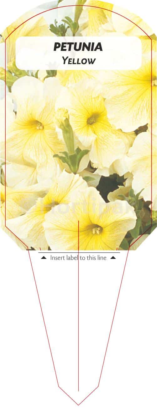 Petunia Yellow Plant Labels - Hortipak