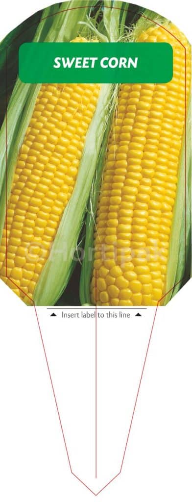 Sweet Corn General Plant Labels - Hortipak