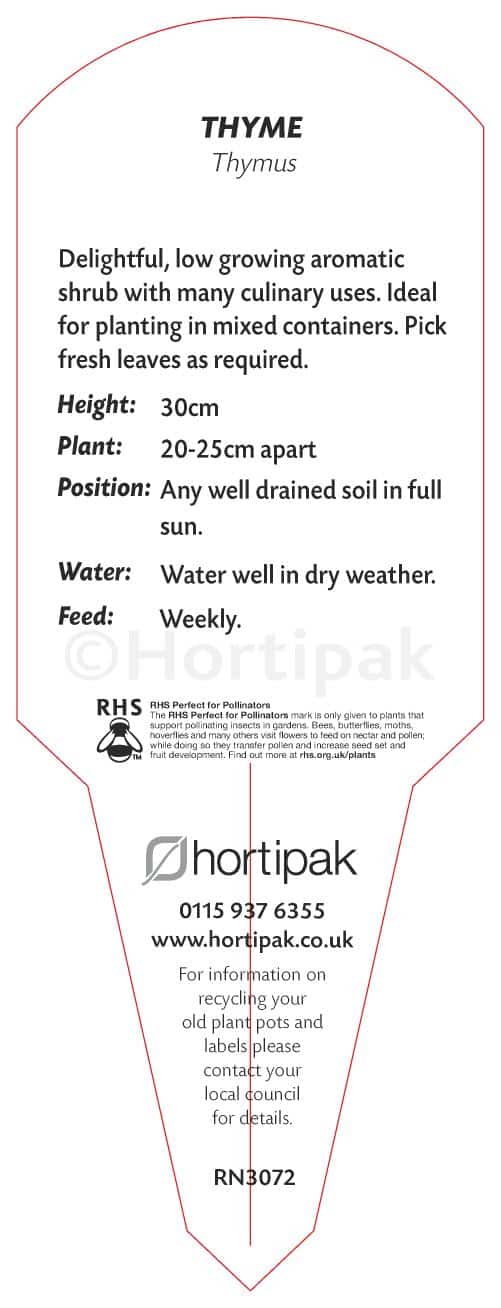 Culinary Herb Thyme Plant Labels - Hortipak