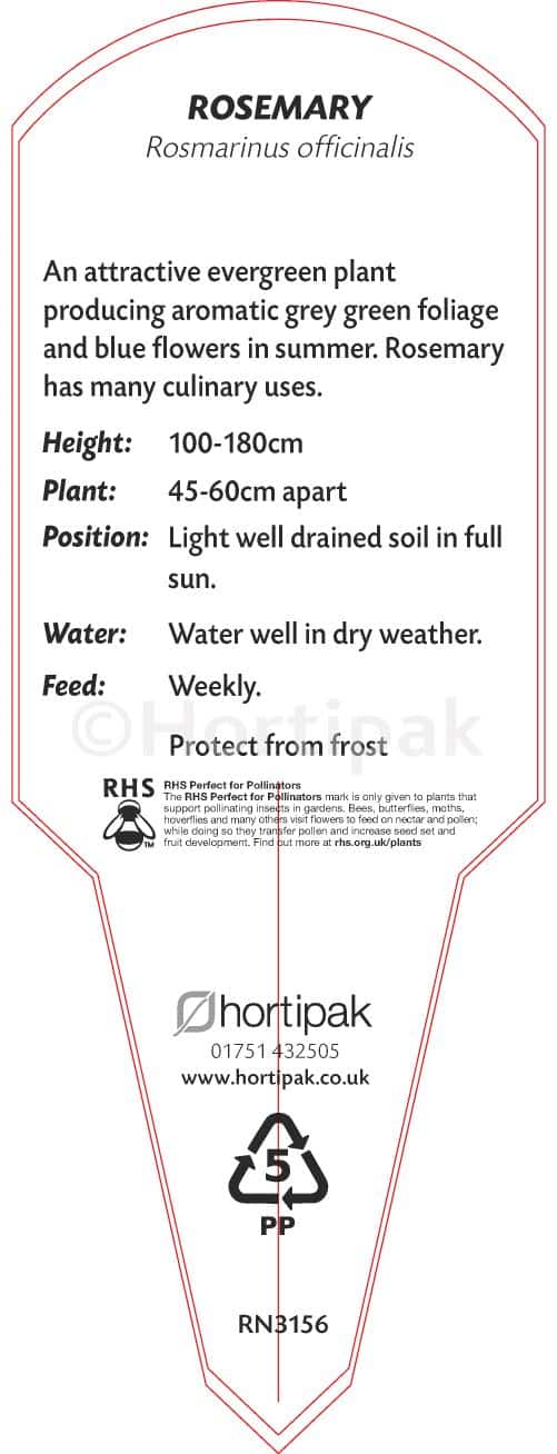 Culinary Herb Rosemary Plant Labels - Hortipak