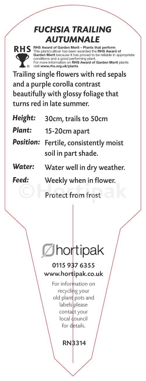 Fuchsia Trailing Autumnale Plant Labels - Hortipak