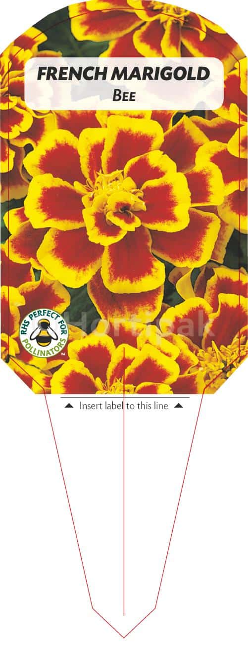 French Marigold Bee Plant Labels - Hortipak