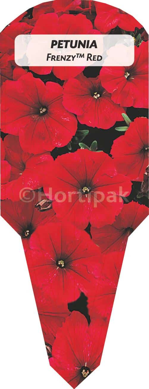 Petunia Frenzy Red Plant Labels - Hortipak