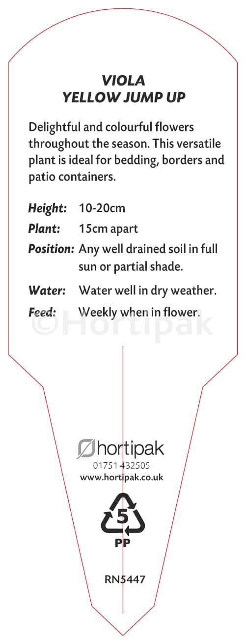 Viola Yellow Jump Up Plant Labels - Hortipak