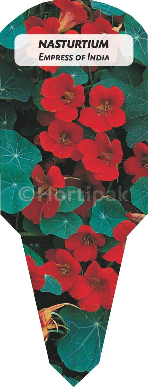 Nasturtium Empress Of India Plant Labels - Hortipak