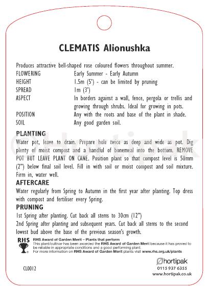 Clematis Alionushka (Elastic Loop Attached) Plant Labels - Hortipak